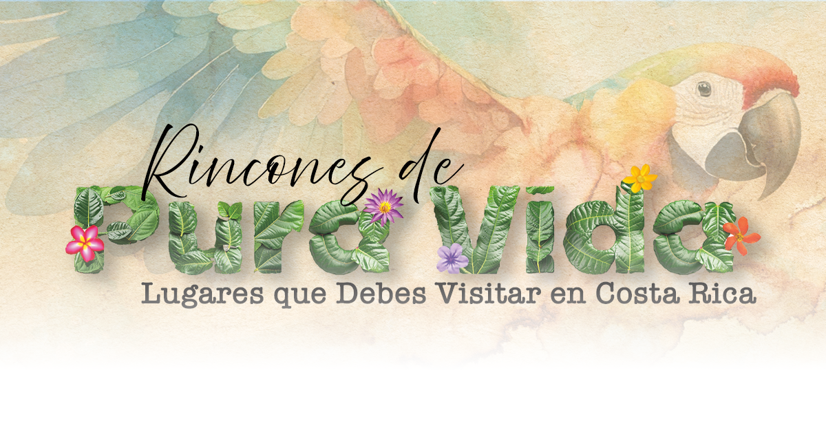 Rincones de Pura Vida: Lugares que Debes Visitar en Costa Rica ...